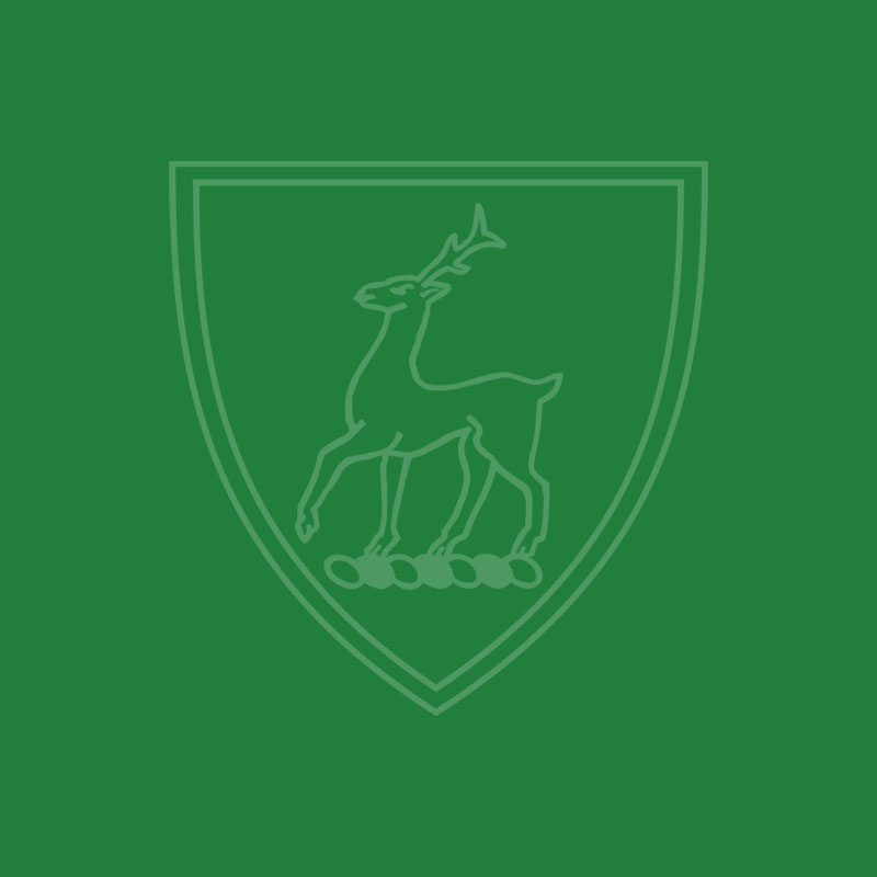 The Raleigh School - English and Languages (Spoken & Written Word)